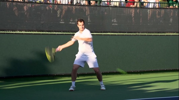 08.Richard-Gasquet-Forehand-and-Backhand-2-Indian-Wells-2013-BNP ...